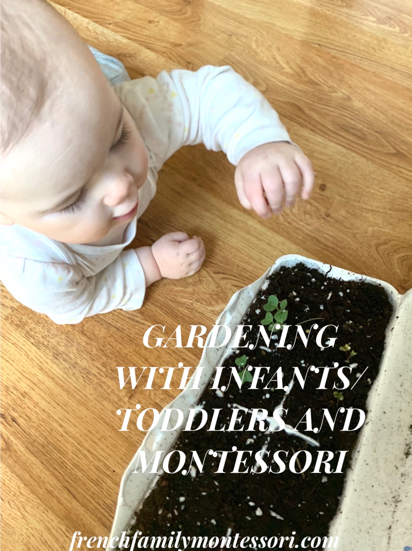 MONTESSORI-INSPIRED GARDENING WITH INFANTS/TODDLERS – French Family ...