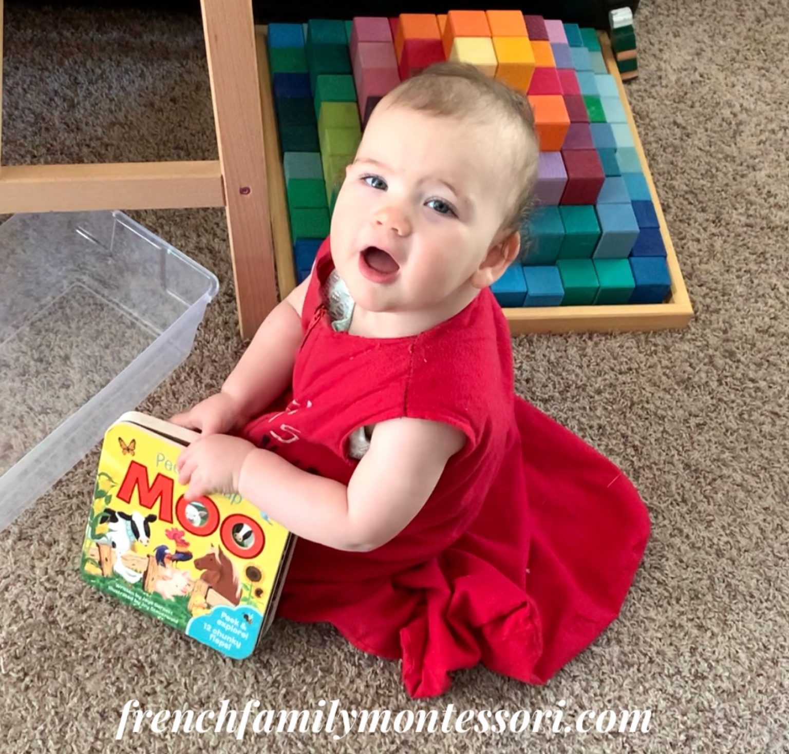 TODDLER READING: FROM RIPPING BOOKS TO FRAGILE HANDLING – French Family ...