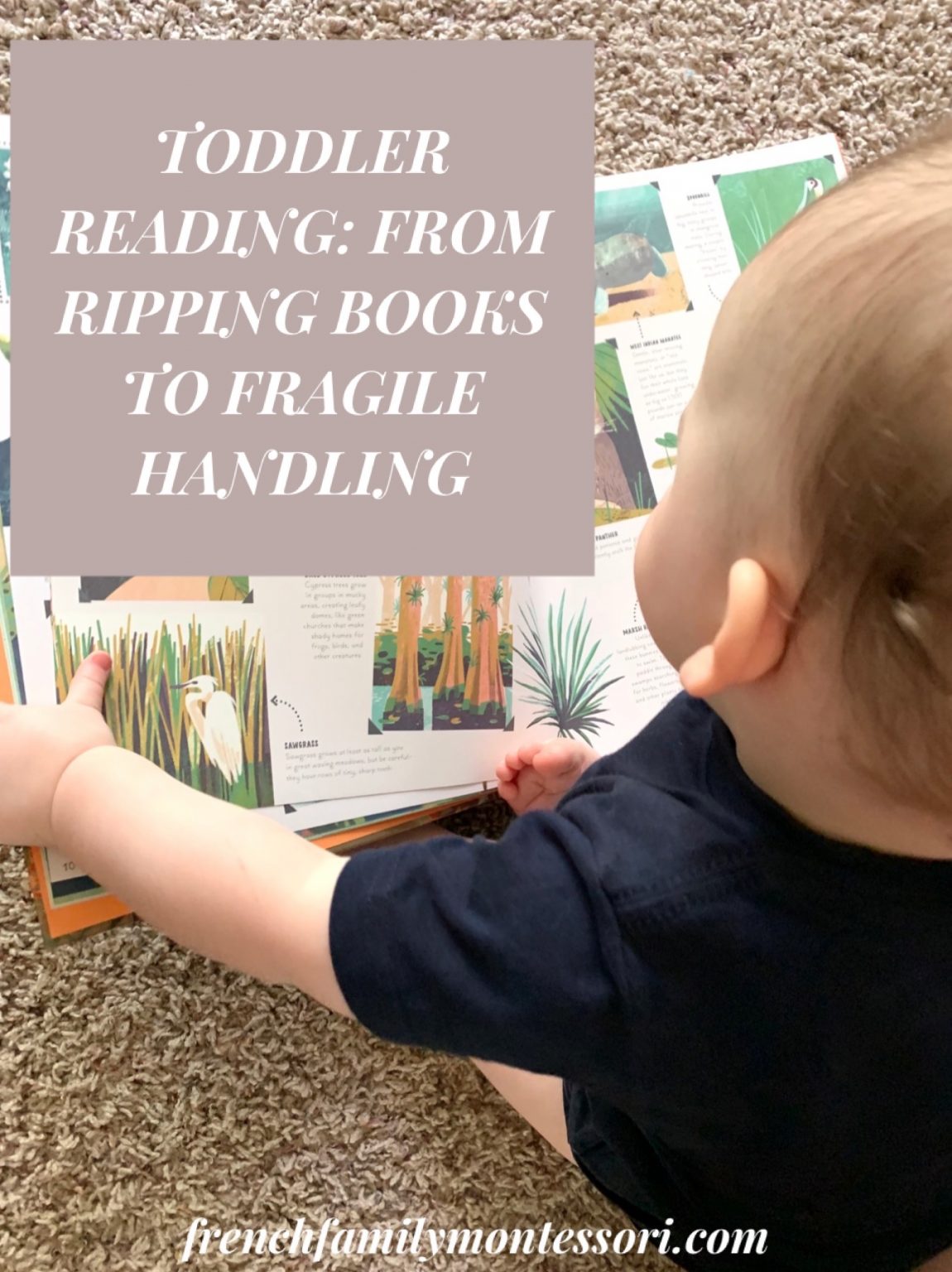 TODDLER READING: FROM RIPPING BOOKS TO FRAGILE HANDLING – French Family ...