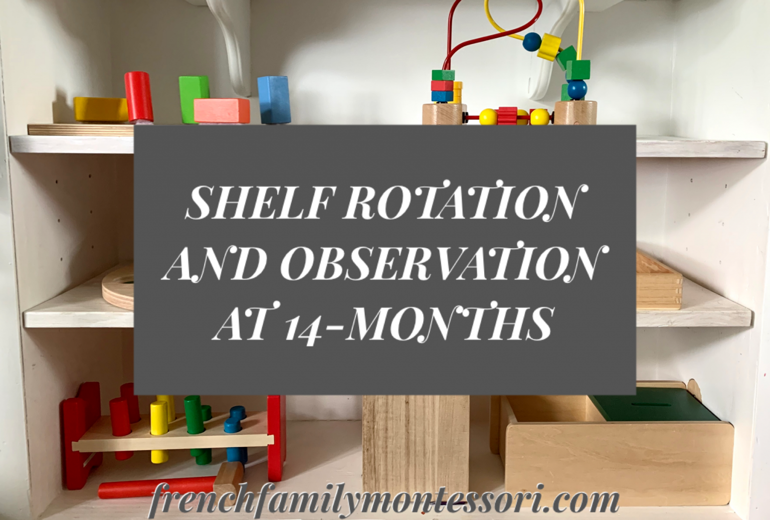 SHELF ROTATION AND OBSERVATION AT 14 MONTHS – French Family Montessori