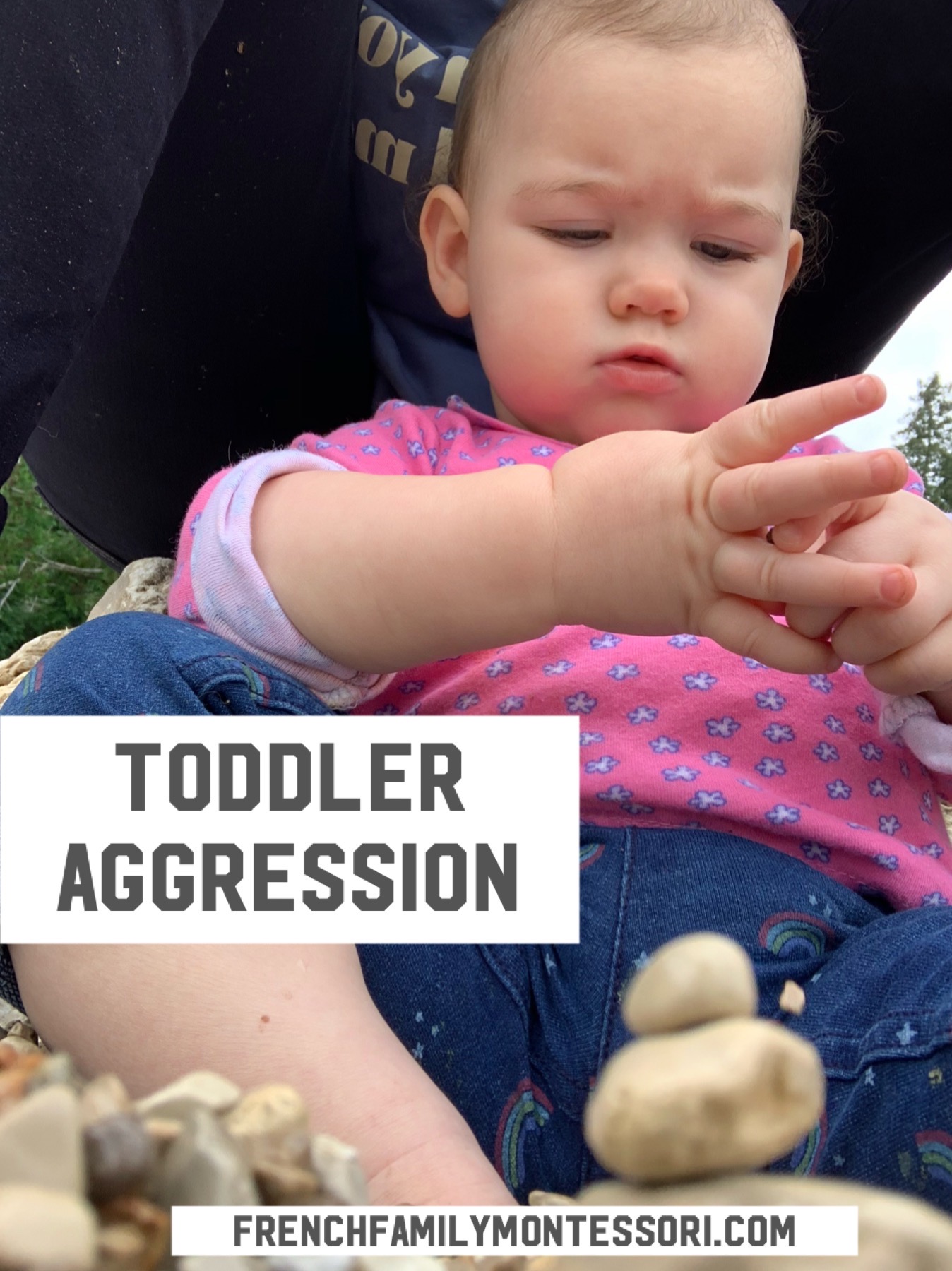 TODDLER AGGRESSION – French Family Montessori