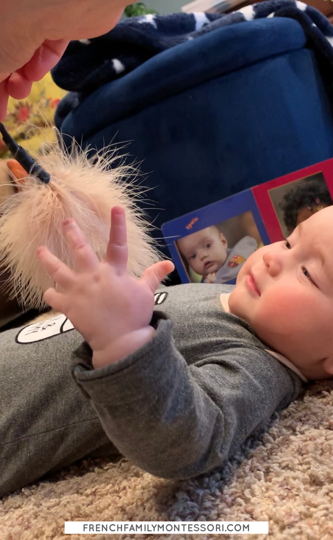 MONTESSORI INFANT: TEACHING GENTLE TOUCH AND RESPECTING OUR ANIMAL ...