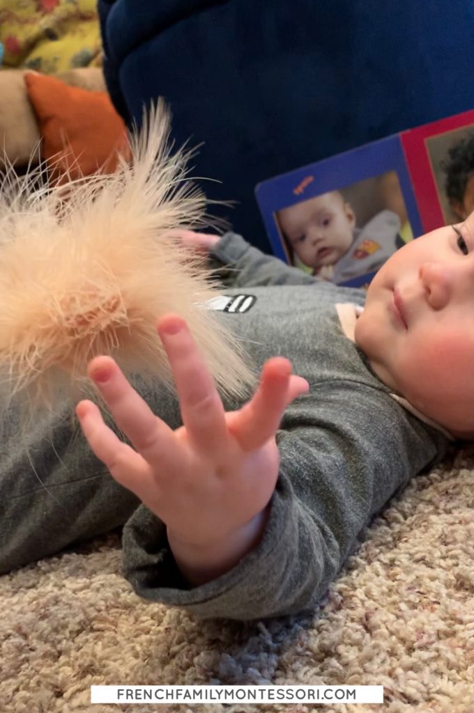 MONTESSORI INFANT: TEACHING GENTLE TOUCH AND RESPECTING OUR ANIMAL ...