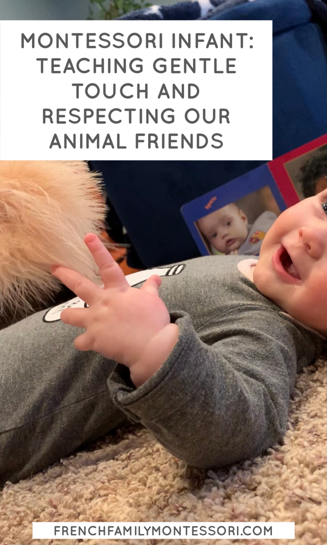 MONTESSORI INFANT: TEACHING GENTLE TOUCH AND RESPECTING OUR ANIMAL ...