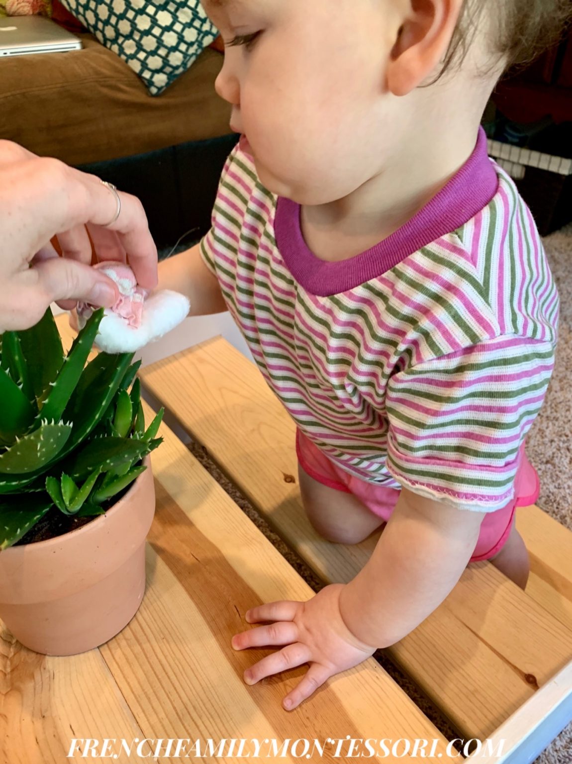 DIY PLANT DUSTER AND INTRODUCTION – French Family Montessori