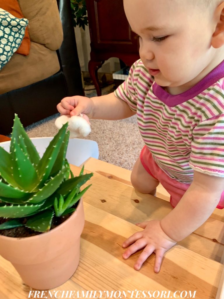 DIY PLANT DUSTER AND INTRODUCTION – French Family Montessori