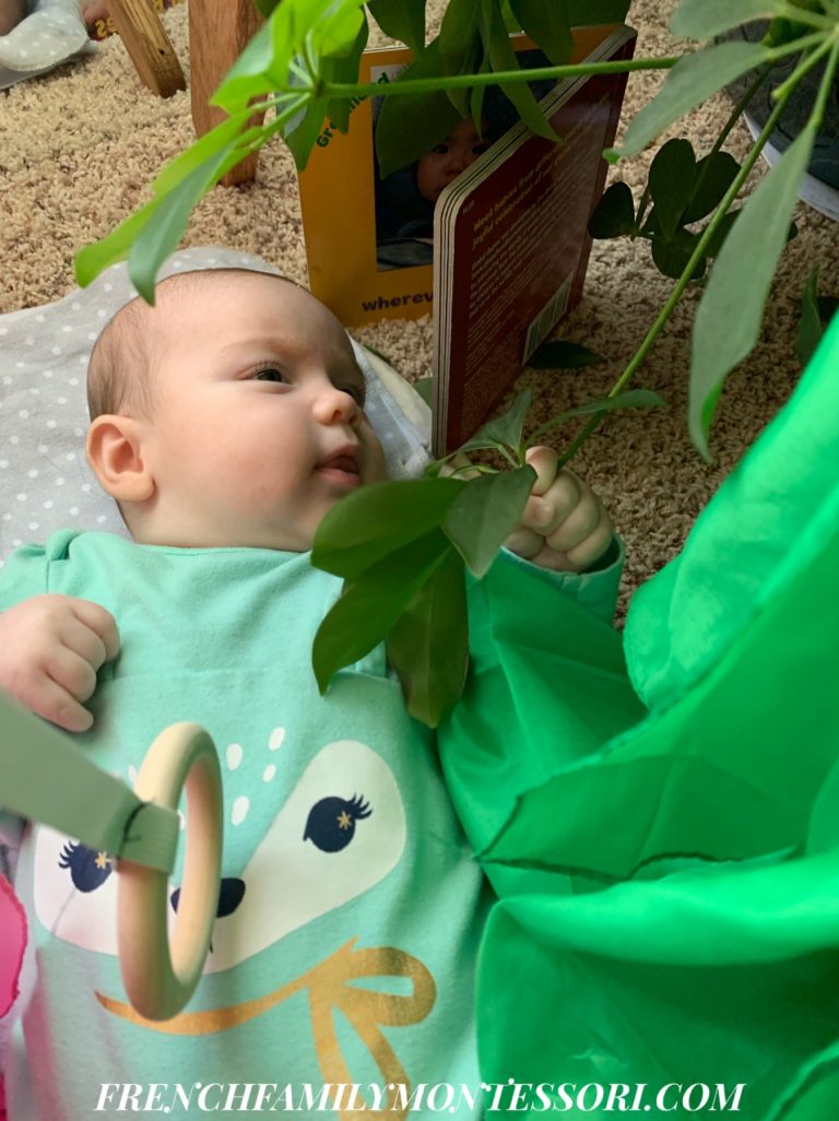 DIY PLANT DUSTER AND INTRODUCTION – French Family Montessori