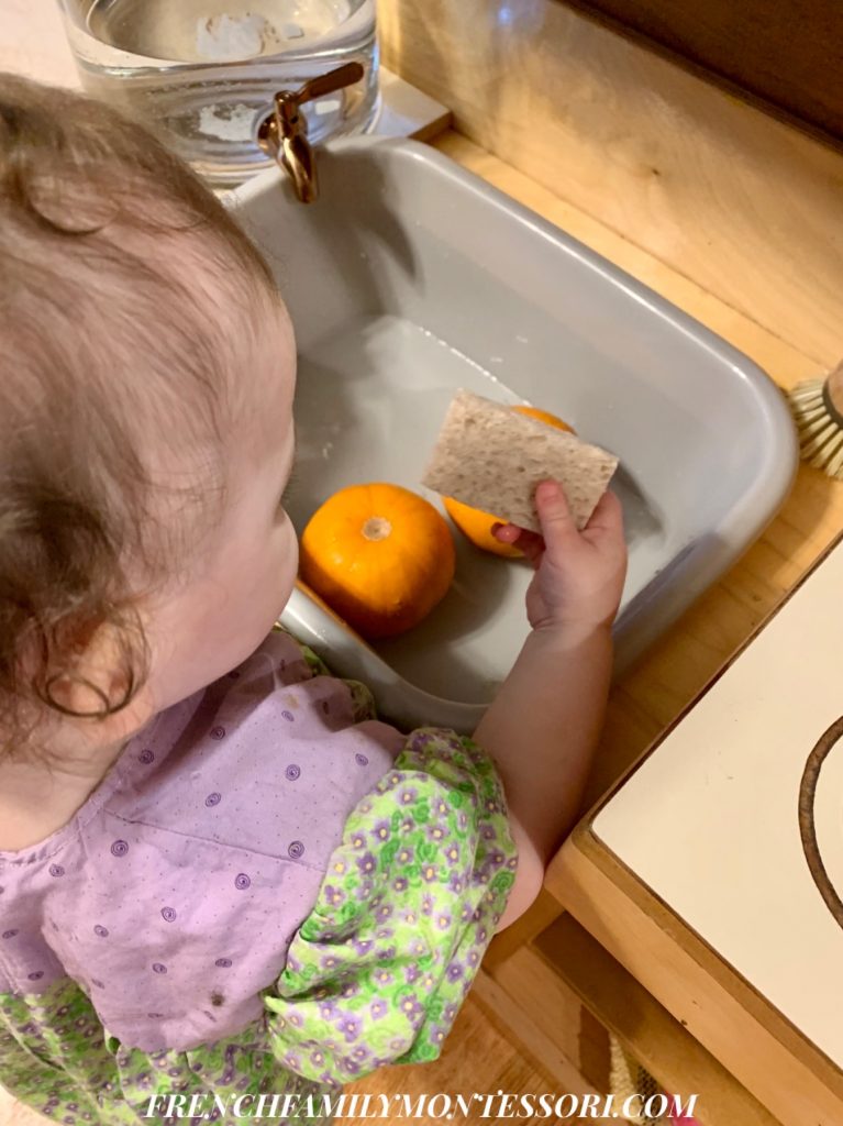 FALL THEME TODDLER ACTIVITIES: WASHING PUMPKINS – French Family Montessori