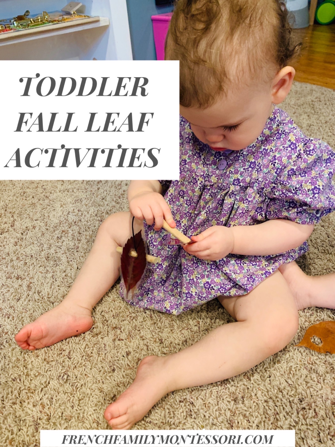 TODDLER FALL LEAF ACTIVITIES – French Family Montessori