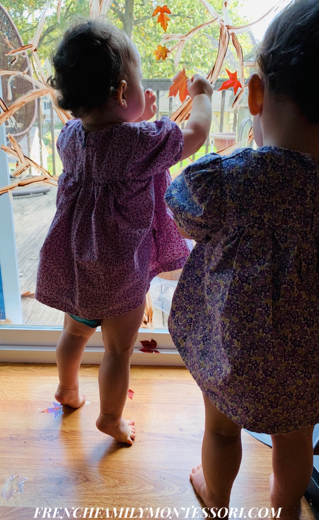 TODDLER FALL WINDOW ACTIVITY – French Family Montessori