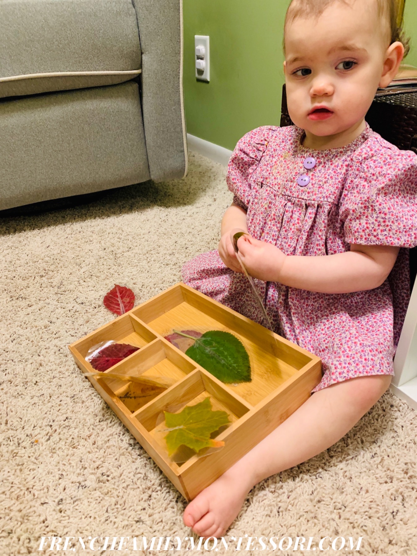 TODDLER FALL LEAF ACTIVITIES – French Family Montessori