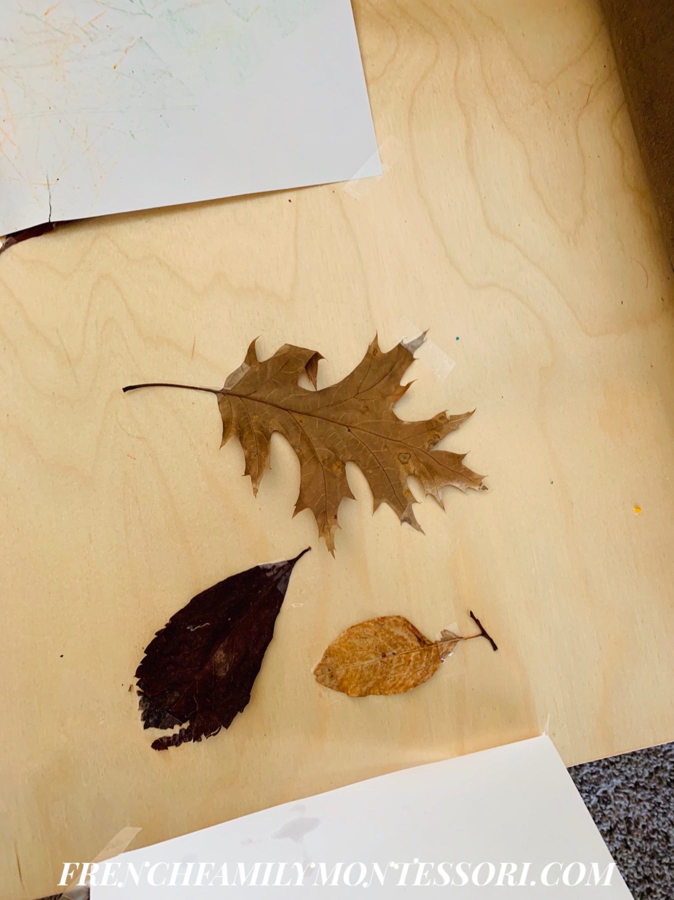 TODDLER FALL LEAF ACTIVITIES – French Family Montessori