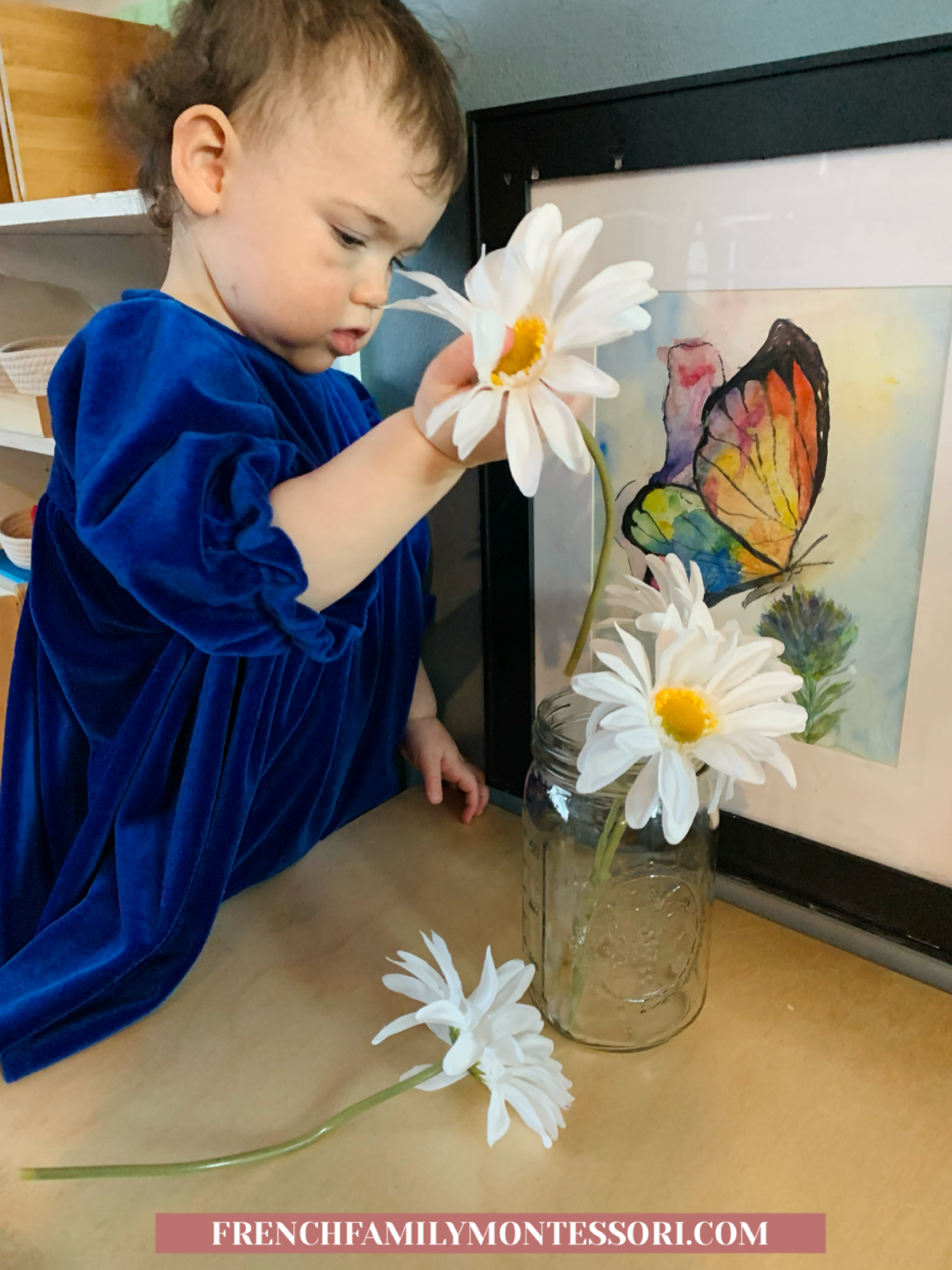 MONTESSORI TODDLER: FLOWER ARRANGING – French Family Montessori