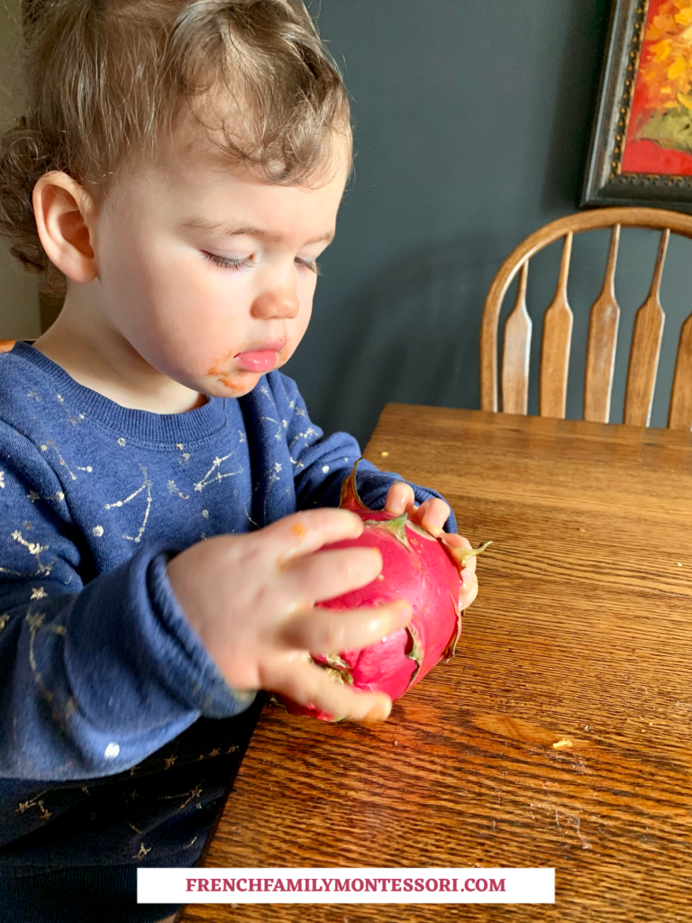 MONTESSORI TODDLER: EXPLORING A NEW FRUIT/VEGETABLE – French Family ...
