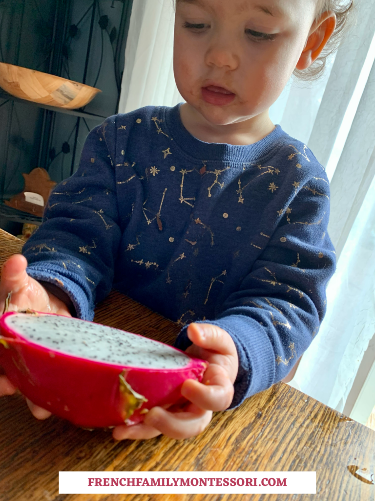 MONTESSORI TODDLER: EXPLORING A NEW FRUIT/VEGETABLE – French Family ...