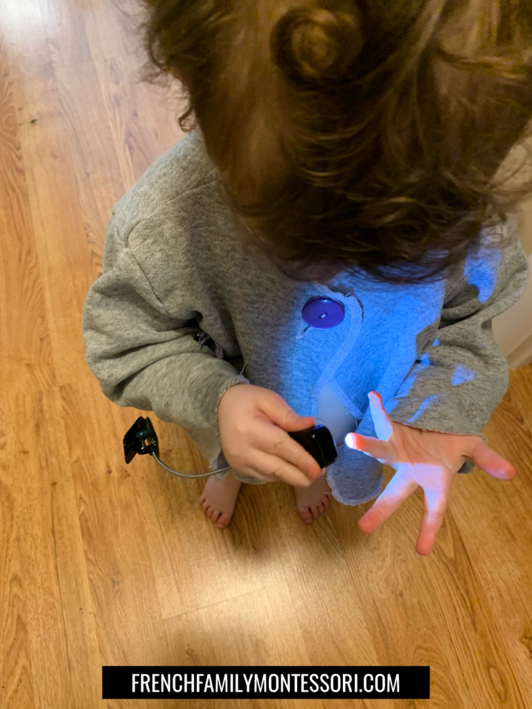 TODDLER LIFE: FLASHLIGHT ACTIVITY – French Family Montessori