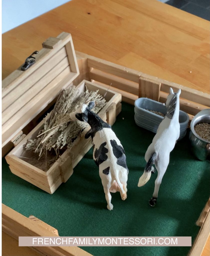 MONTESSORI TODDLER: FARMING ACTIVITY – French Family Montessori