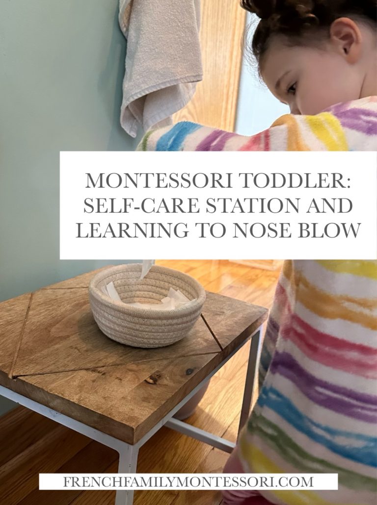MONTESSORI TODDLER: ADDING TO THE SELF-STATION AND HELPING TO LEARN ...