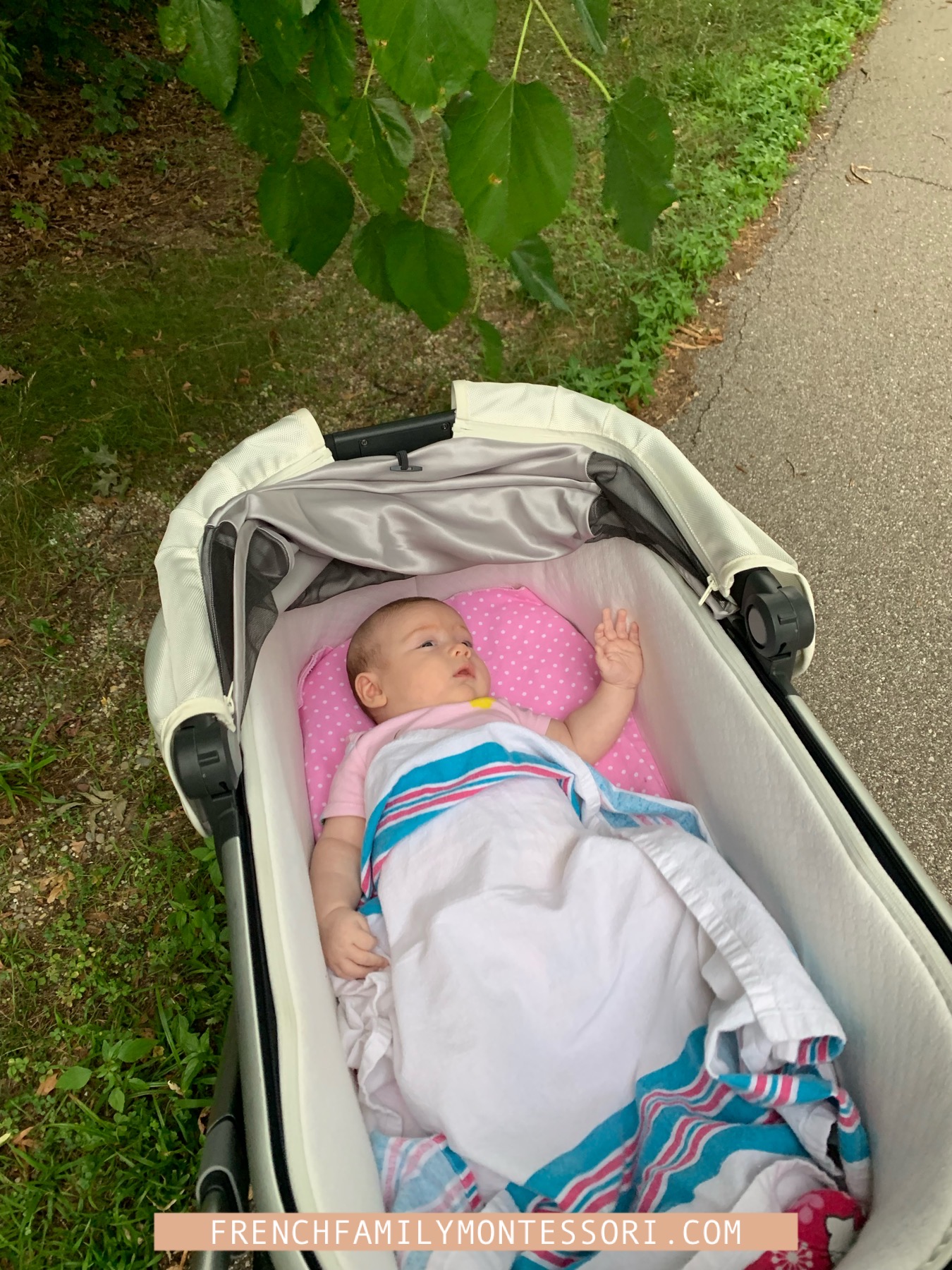 MONTESSORI TODDLER: STROLLERS – French Family Montessori